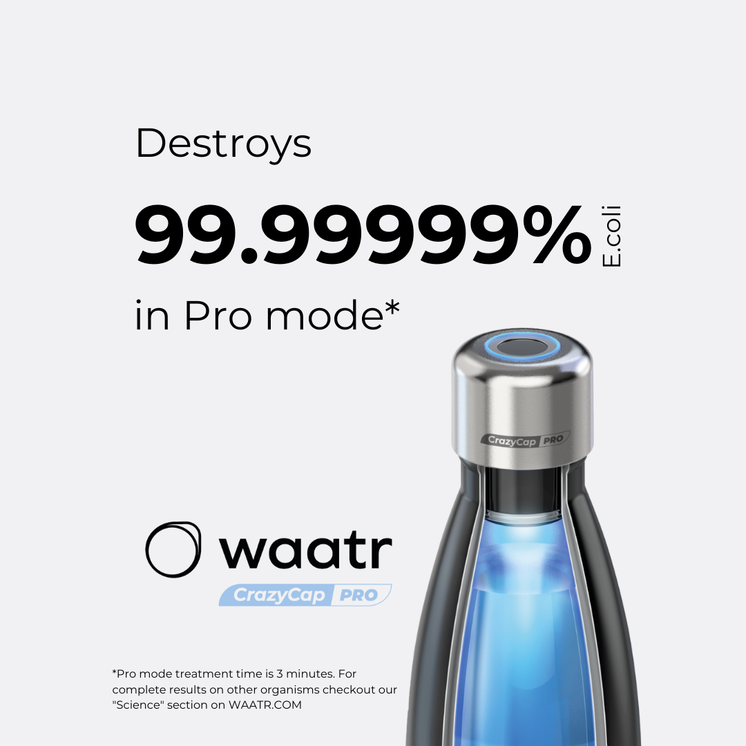 Waatr CrazyCap Pro UVC Cap | Smart Water Purifier - BRIDGEMEN.COM.SG